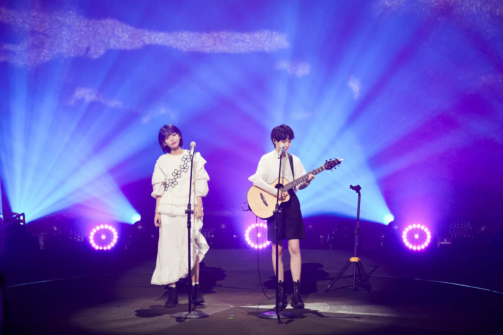 2025房东的猫成都演唱会购票信息及入场规则（附演出时间）-黄河票务网