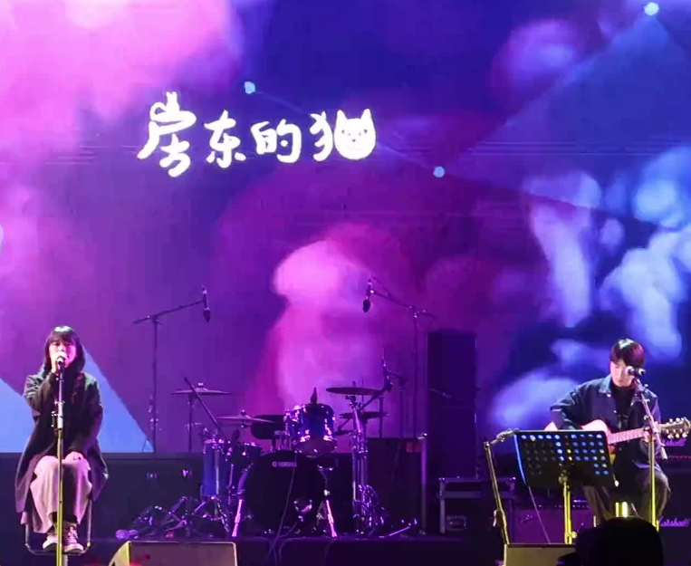 2019房东的猫演唱会门票及行程安排-黄河票务网